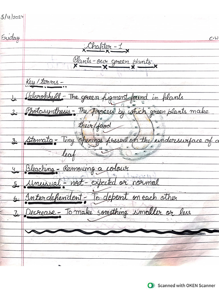 Class 4th Science Work of Ch.1&2 | PDF