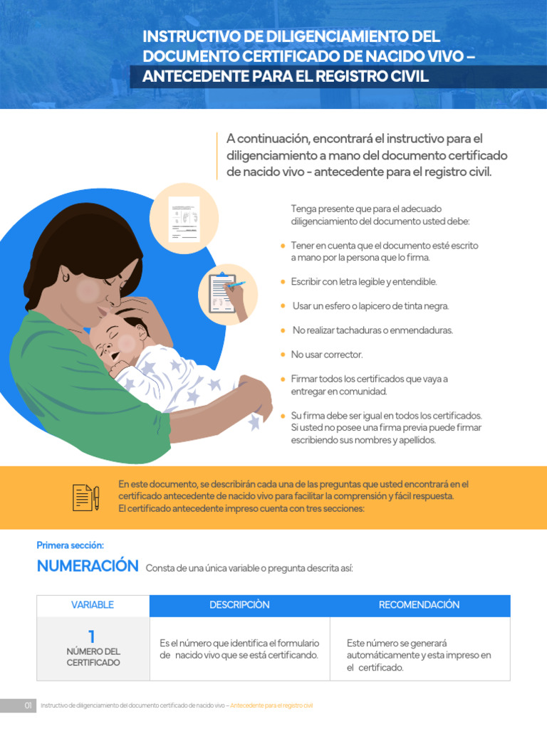 Instructivo Diligenciamiento | PDF | Documento de identidad