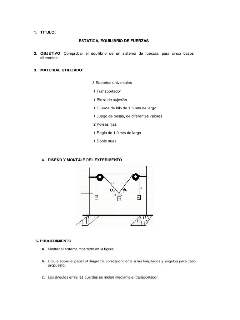 Laboratorio Estatica | PDF