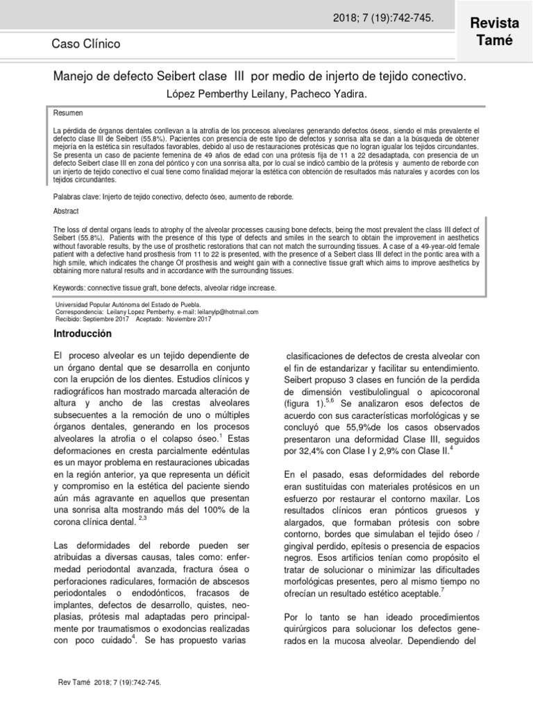 Manejo de Defecto Seibert Clase III | PDF | Boca | Diente