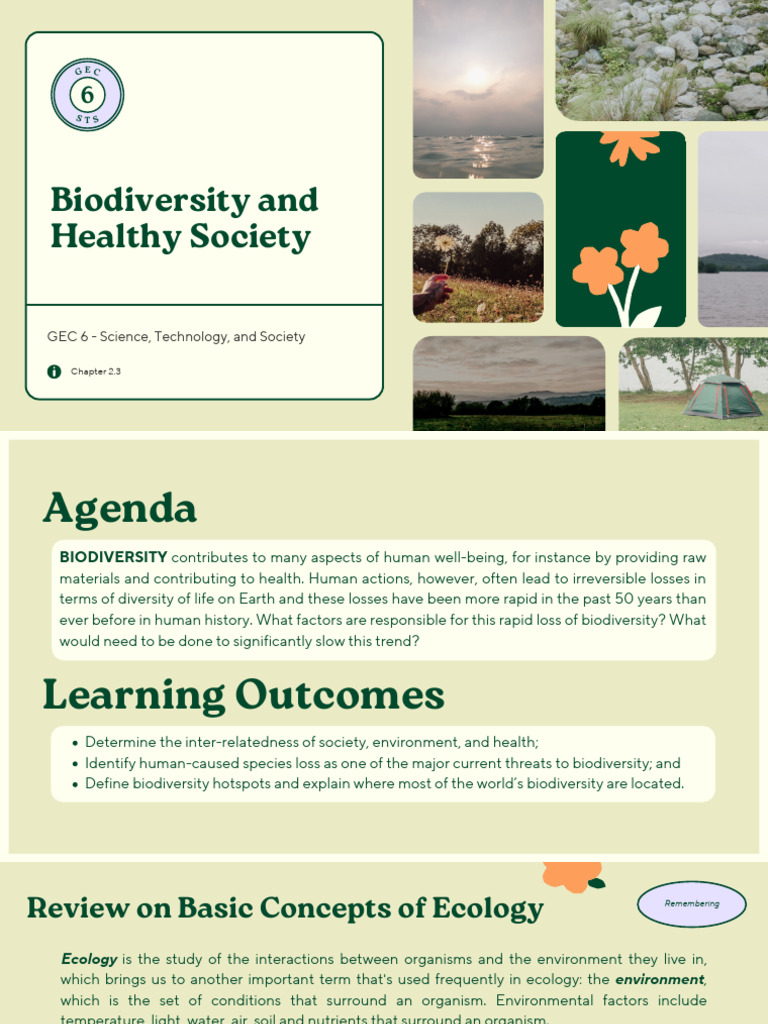 Biodiversity's Role in Human Health | PDF | Food Web | Biodiversity
