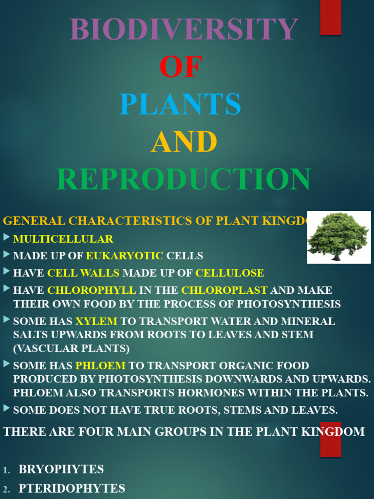 Biodiversity of Plants and Reproduction w4wnjq | PDF | Plant ...