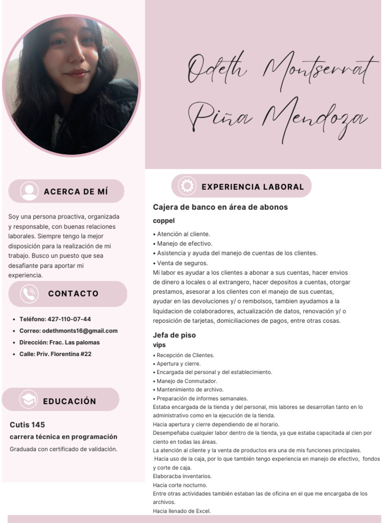 Curriculum Vitae de Mujer Profesional con Foto Femenino Rosa | PDF