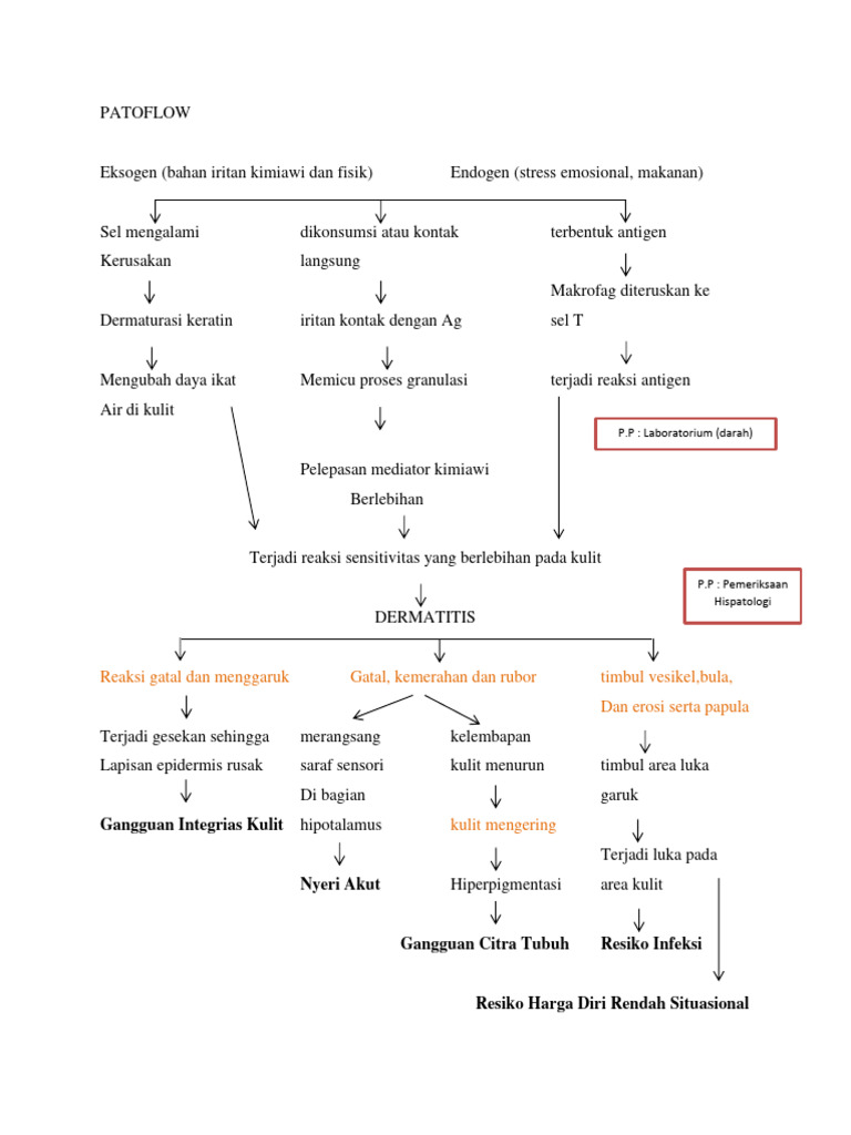 Patoflow Dermatitis | PDF