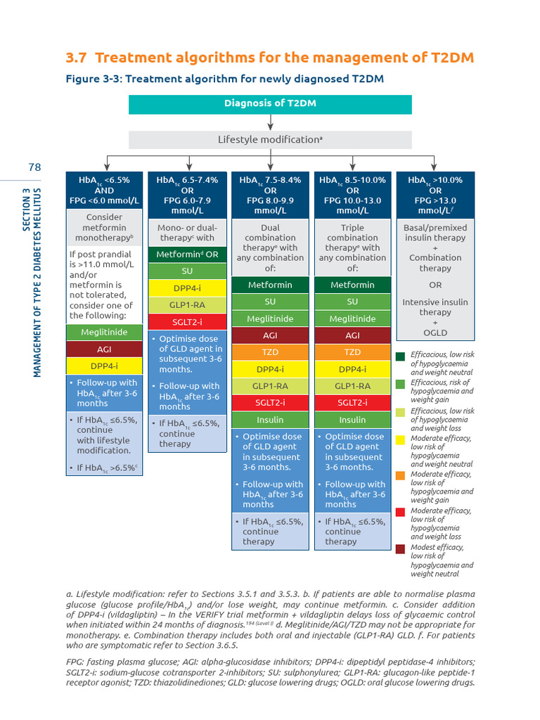 CPG T2DM 6th Edition 2020 13042021 | Download Free PDF | Diabetes ...