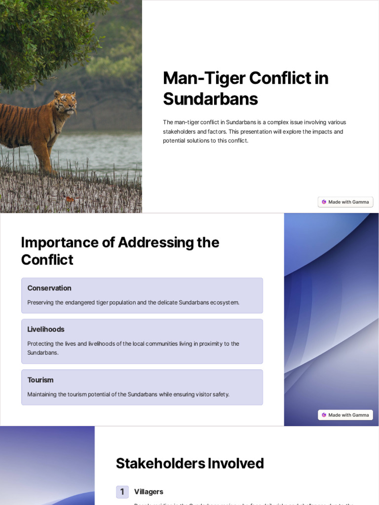 Man Tiger Conflict in Sundarbans | PDF | Tiger | Conservation Biology