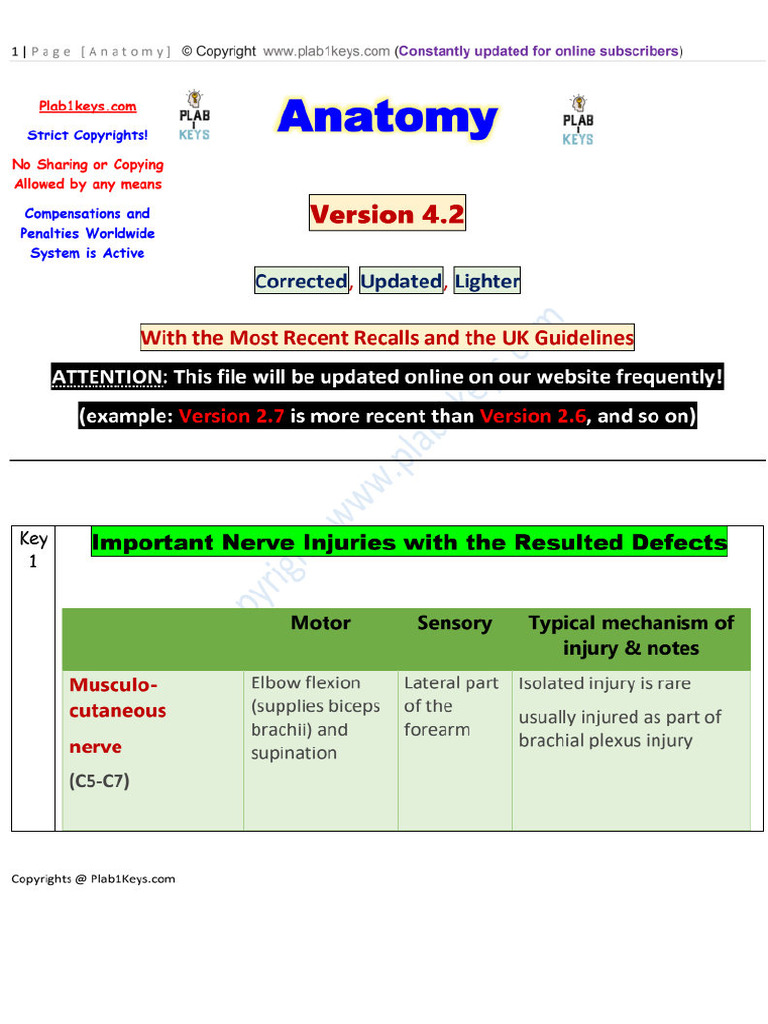 01 Anatomy 4.2 | PDF