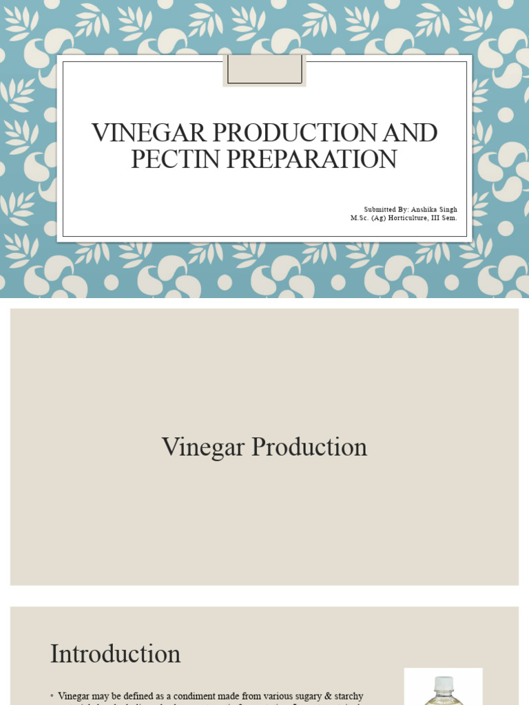 Vinegar Production | PDF | Vinegar | Fermentation