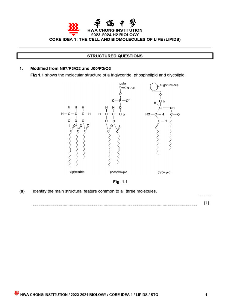 Structured Questions (Lipids) | PDF | Lipid | Cell Membrane