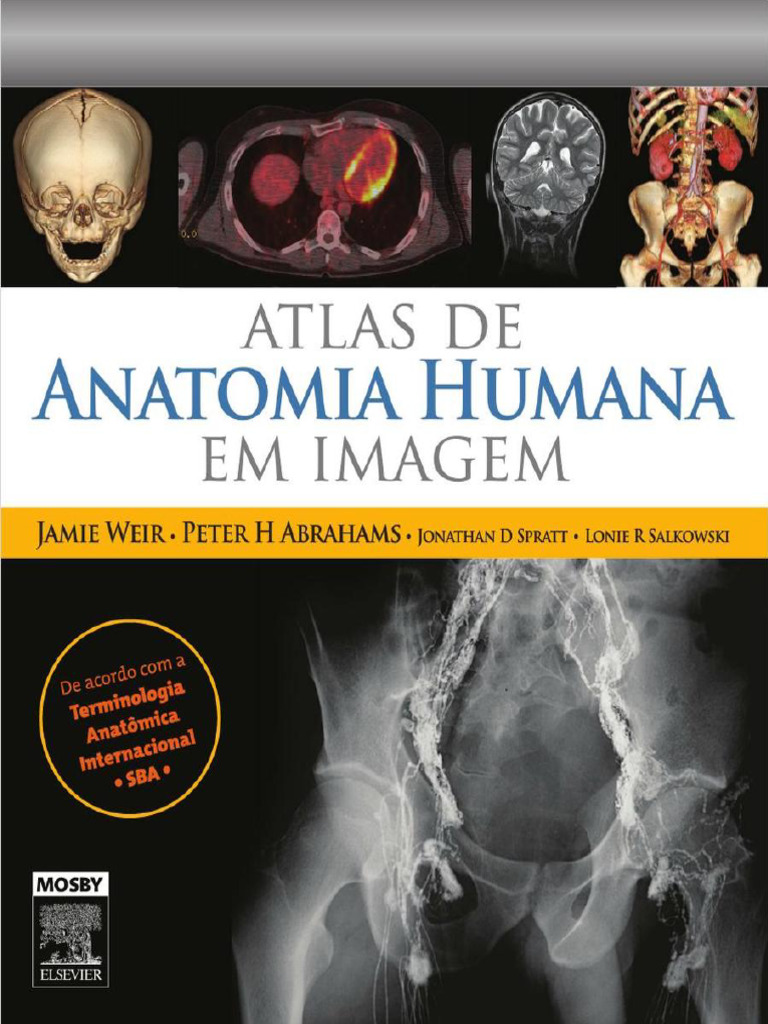 Atlas Da Anatomia Humana Imagem | PDF
