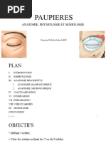 Anatomie des Muscles de la Face | PDF | Lèvre | Anatomie