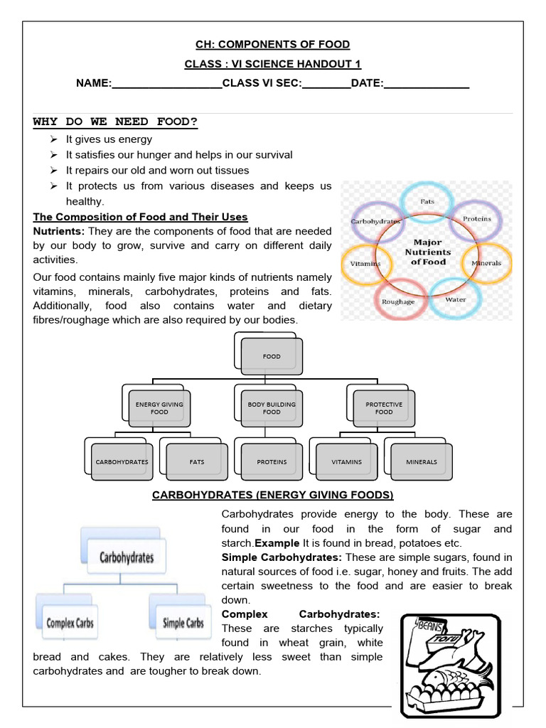 Components of Food Handout 1 | PDF | Foods | Dietary Fiber