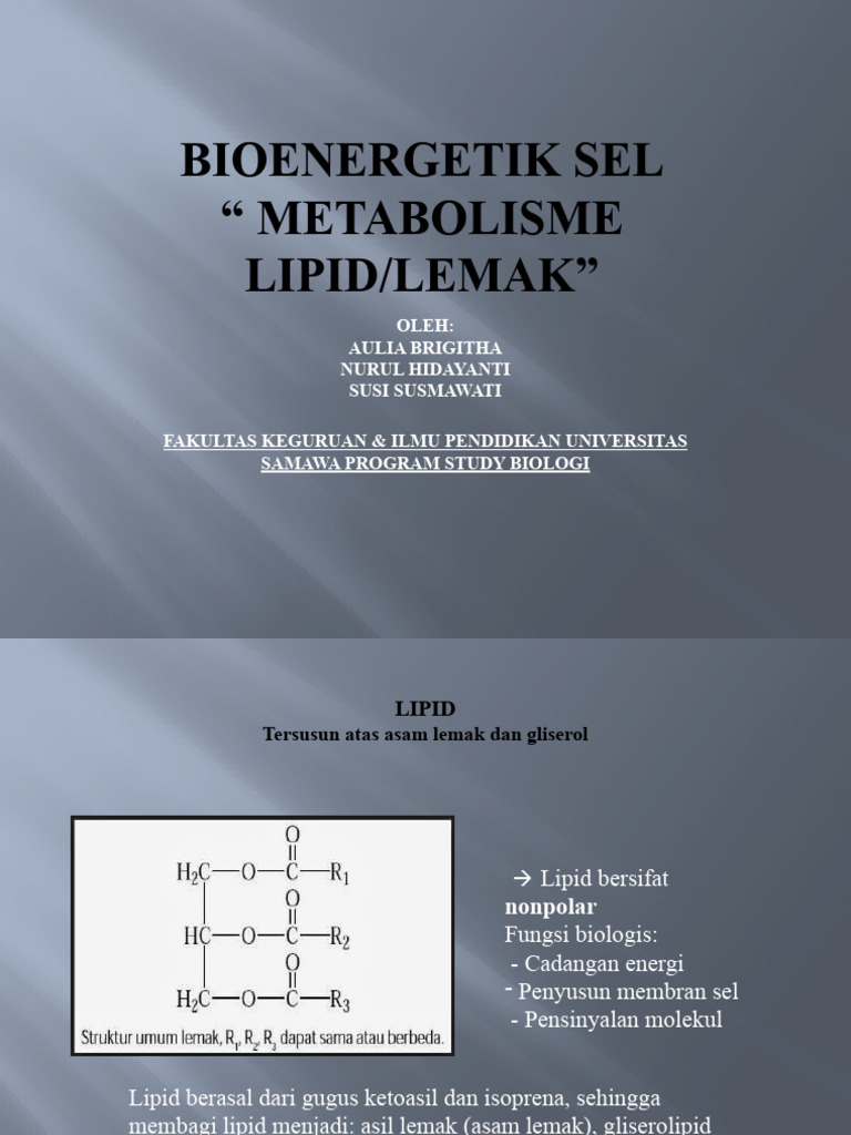 Metabolisme Lipid dalam Bioenergetik Sel | PDF