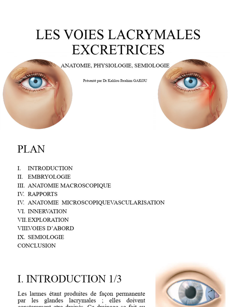 Anatomie des Voies Lacrymales | PDF | Vaisseau sanguin | Épithélium