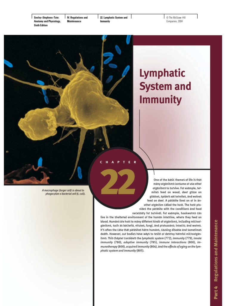 22 Lymphatic System and Immunity | PDF | Lymphatic System | Lymph Node