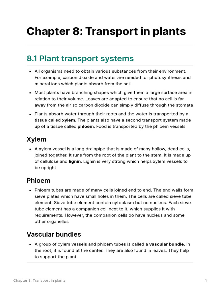 Plant Transport Systems Explained | PDF | Leaf | Plants