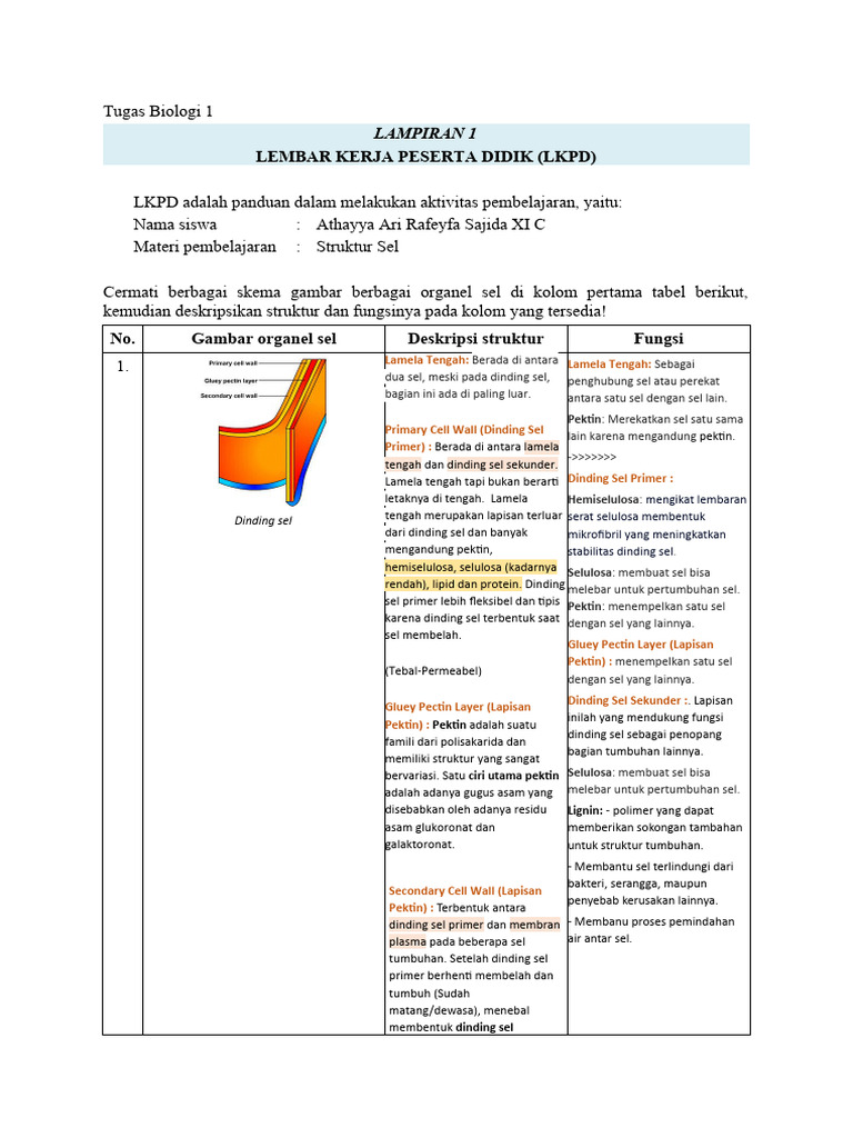 LKPD Struktur Sel Biologi XI | PDF