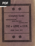 Basic Stag Conditioning: Conditioning Guide and Basic Tips During ...