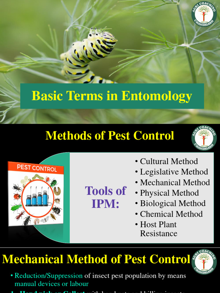 4 - Integrated Pest Management | PDF | Honey Bee | Western Honey Bee