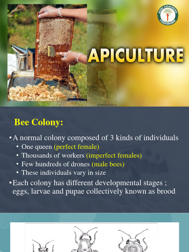 5 - Apiculture Silviculture Lac Culture | Download Free PDF | Silk | Honey Bee