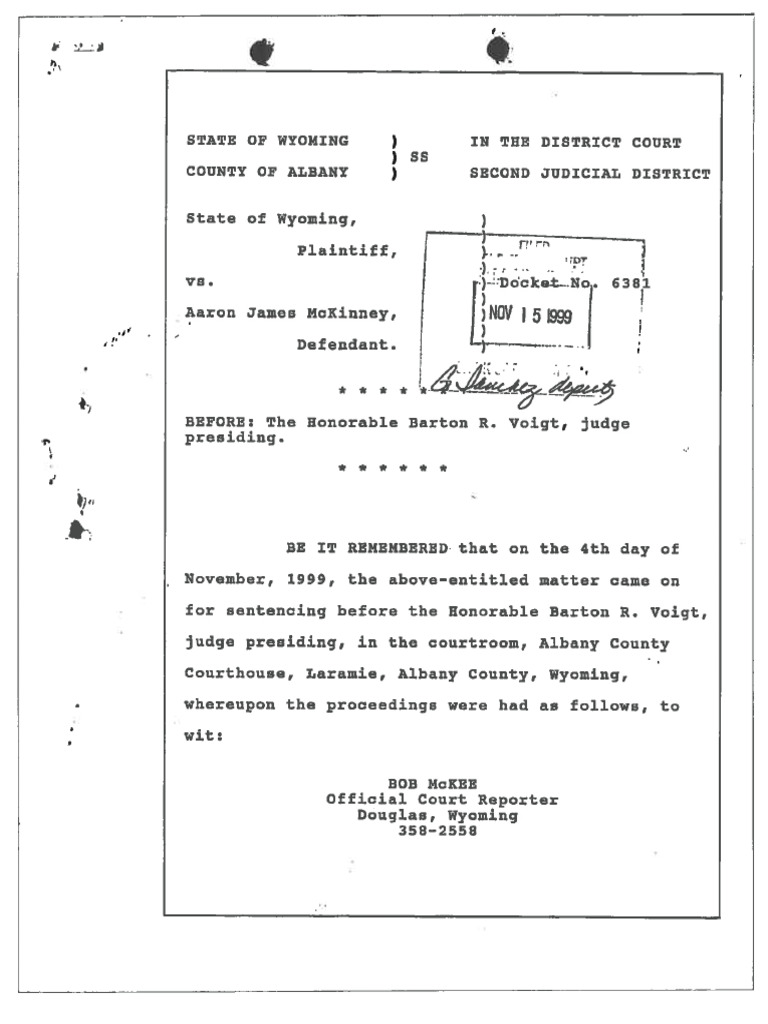 McKinney Sentencing Court Transcript | PDF