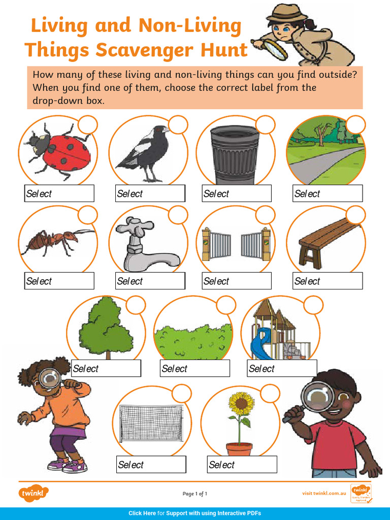 Sorting Living Things and Nonliving Things Worksheet Scavenger Hunt ...