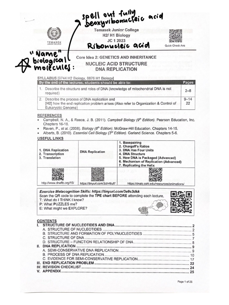 Dna Replication Notes Pdf