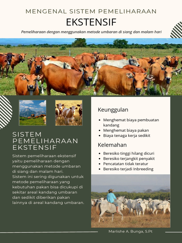 Sistem Pemeliharaan Ekstensif | PDF | Teknologi & Rekayasa