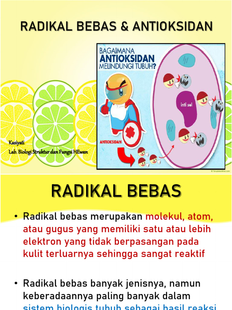 Radikal Bebas Dan Antioksidan | PDF