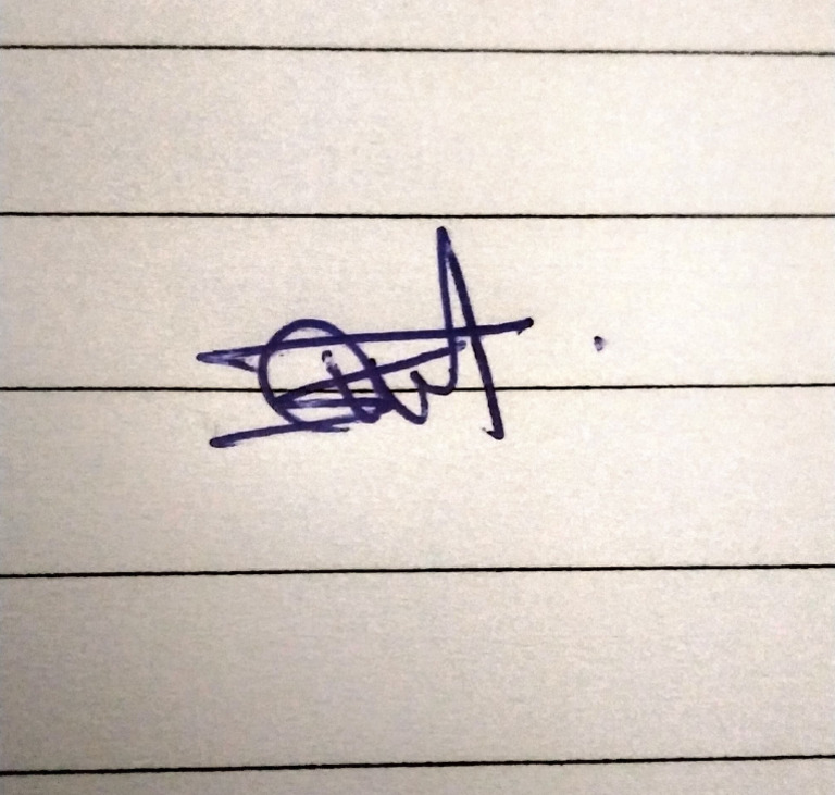 Signature Vikas | PDF