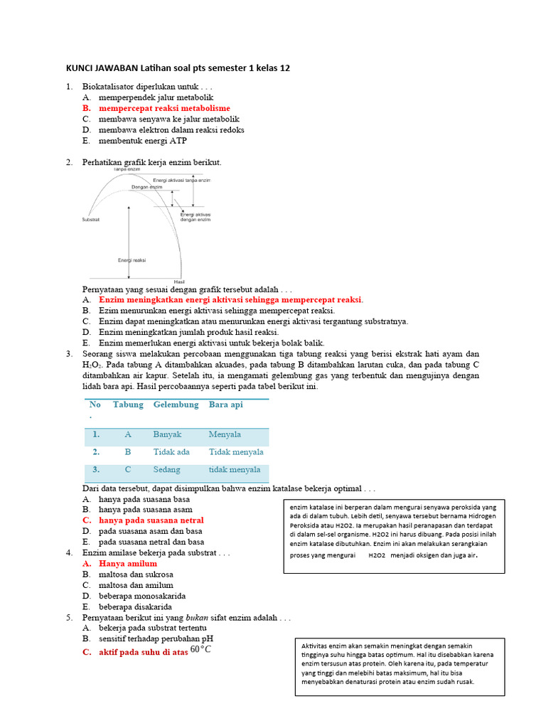 Latihan Soal Pts Kls 12 SMT 1 2022 | PDF