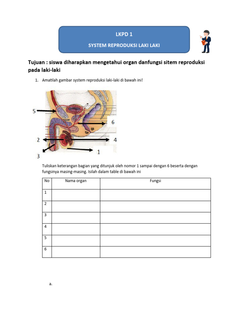 LKPD Sistem Reproduksi Manusia | PDF