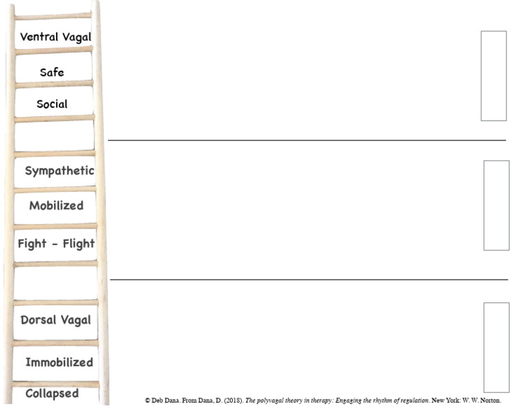 Understanding the Polyvagal Theory | PDF