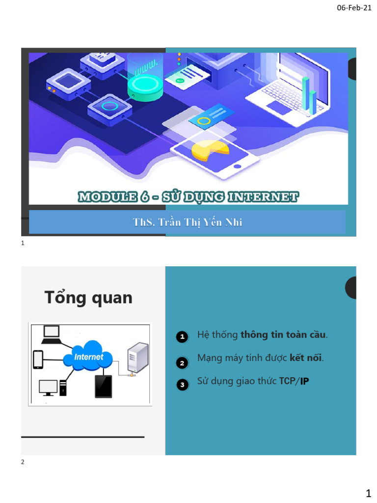 Module6 Internet | PDF