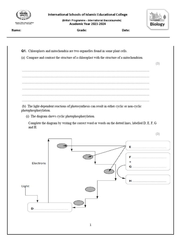 Topic 5A worksheet | PDF | Photosynthesis | Chloroplast