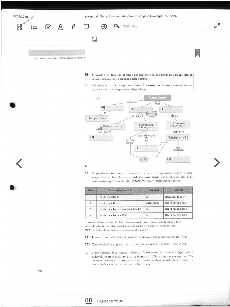 fichas1 5 prova BIO GEO 10ºano | PDF