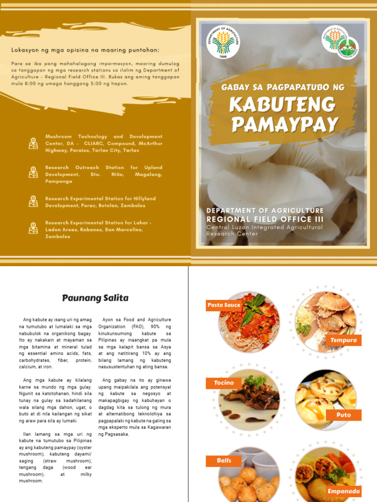 Oyster Mushroom Production Booklet | PDF