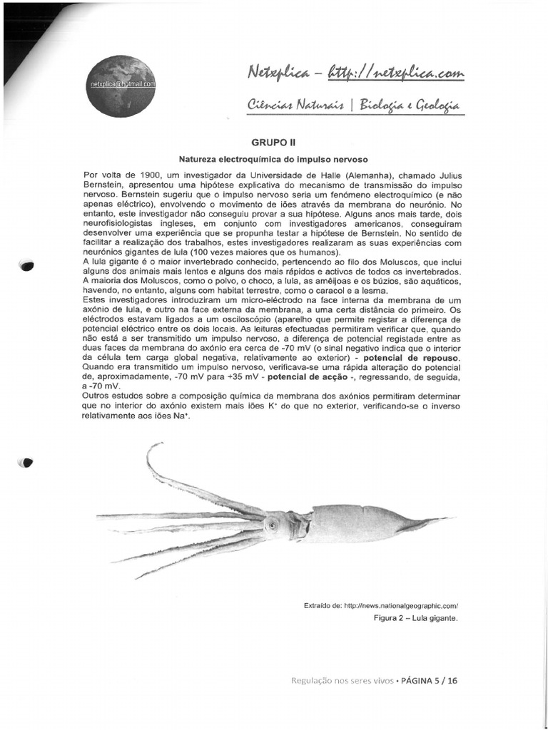 Fichas4 5 Prova BIO GEO 10ºano | PDF