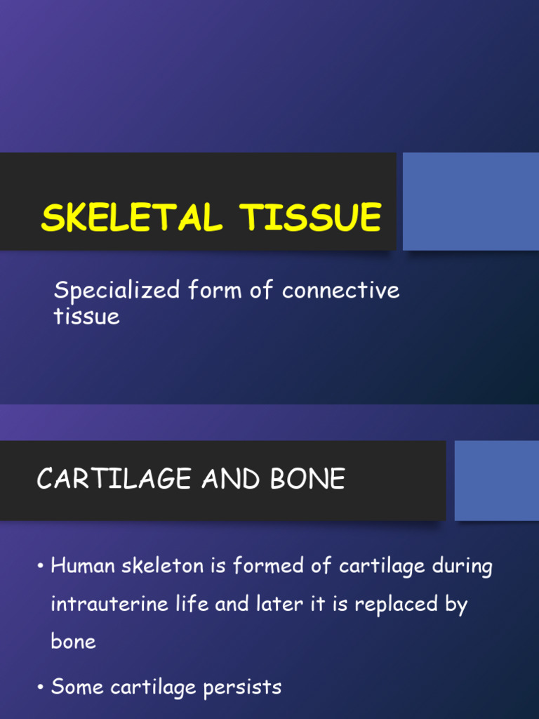 Cartilage And Bone Pdf Cartilage Bone