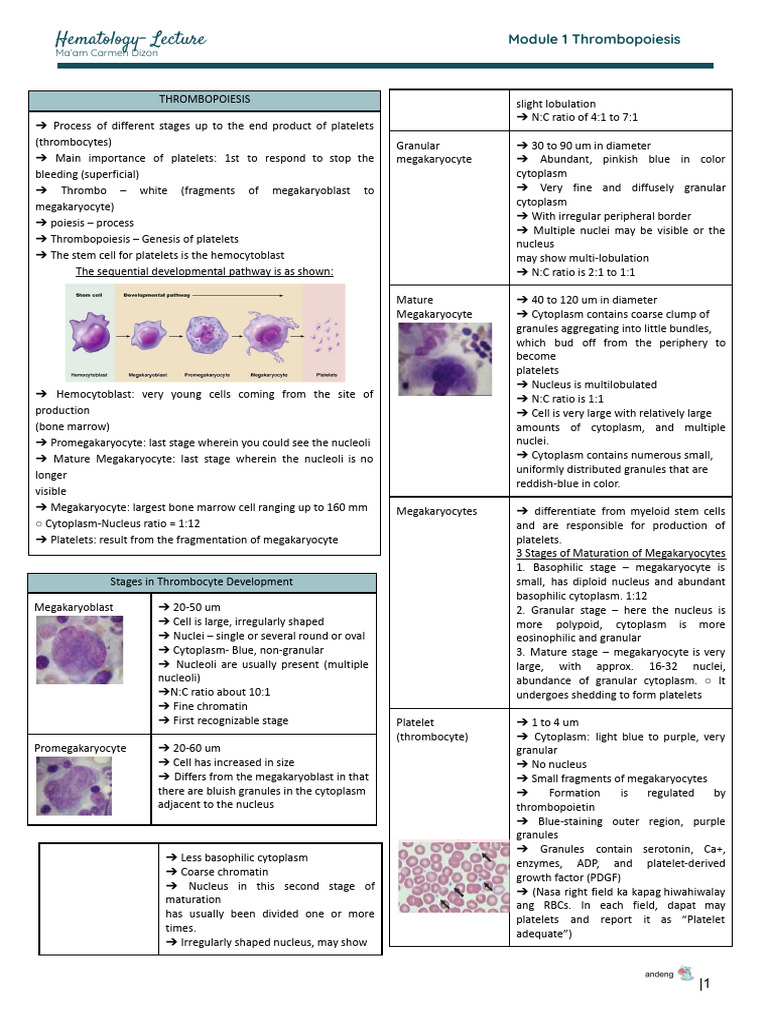 HEMA LEC - MODULE 1 Thrombopoiesis | PDF | Coagulation | Platelet