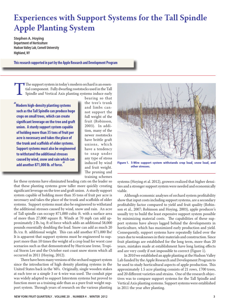 1.experiences With Support Systems For The Tall Spindle Apple Planting ...