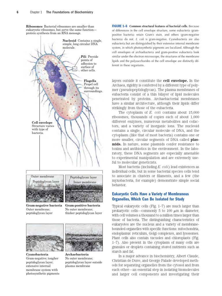 Biochemistry - Lehninger - 0006 | PDF | Bacteria | Cell (Biology)