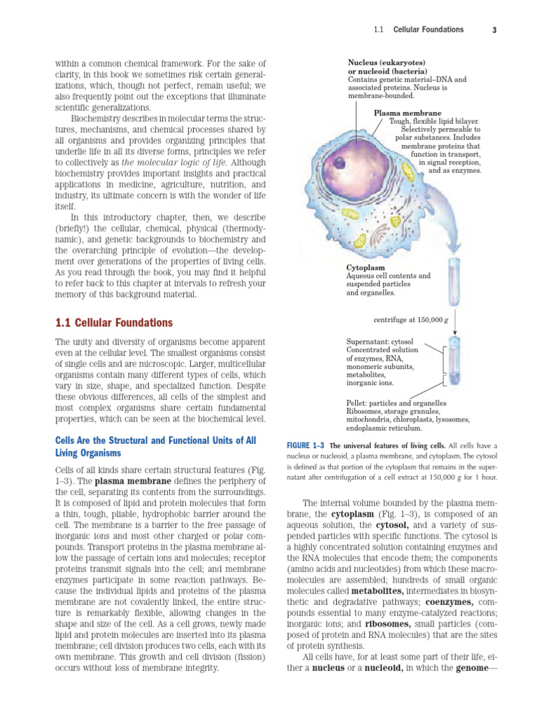Biochemistry - Lehninger - 0003 | PDF | Cell (Biology) | Cell Membrane