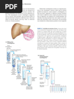 Fractionation of Cells | PDF | Centrifugation | Centrifuge
