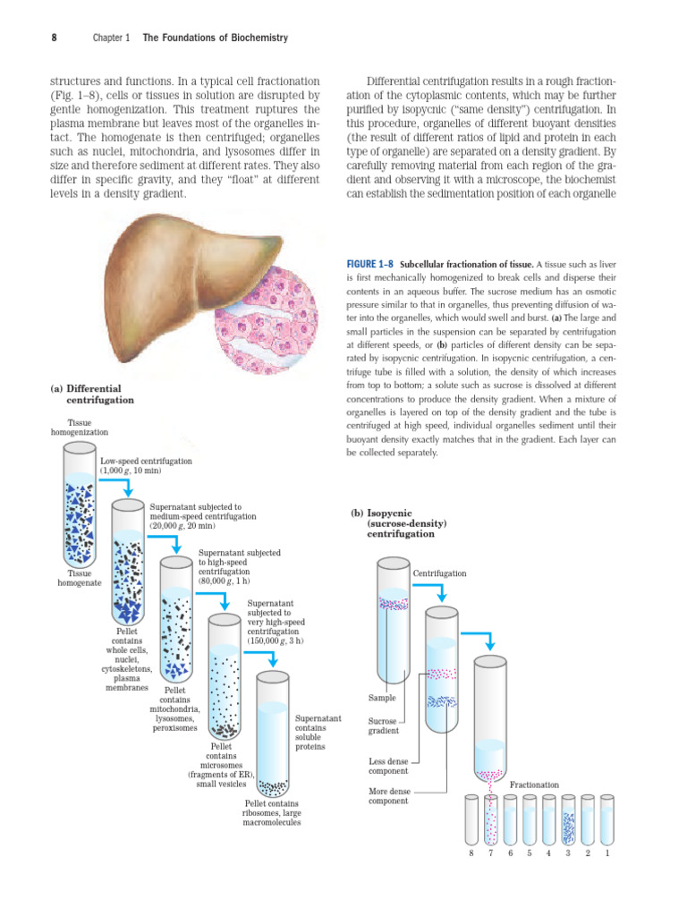 Biochemistry - Lehninger_0008 | PDF | Centrifugation | Cell Biology