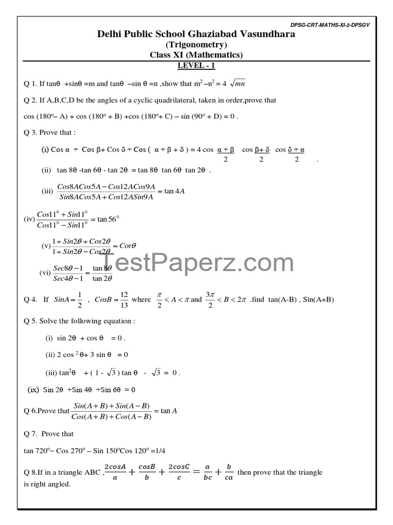 DPS Ghaziabad Trigonometry Assignment | PDF | Triangle | Geometry
