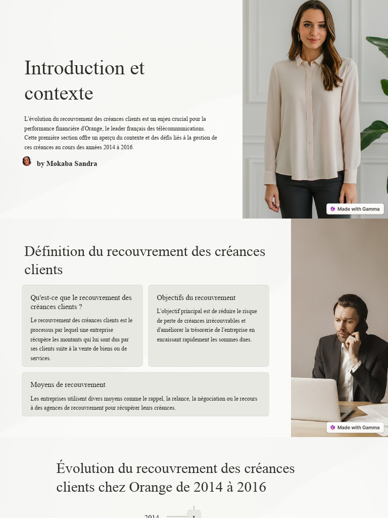 Introduction Et Contexte | PDF | Risque | Business