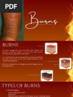 TBSA Burn Estimation for 2nd & 3rd Degree | PDF | Arm | Human Anatomy