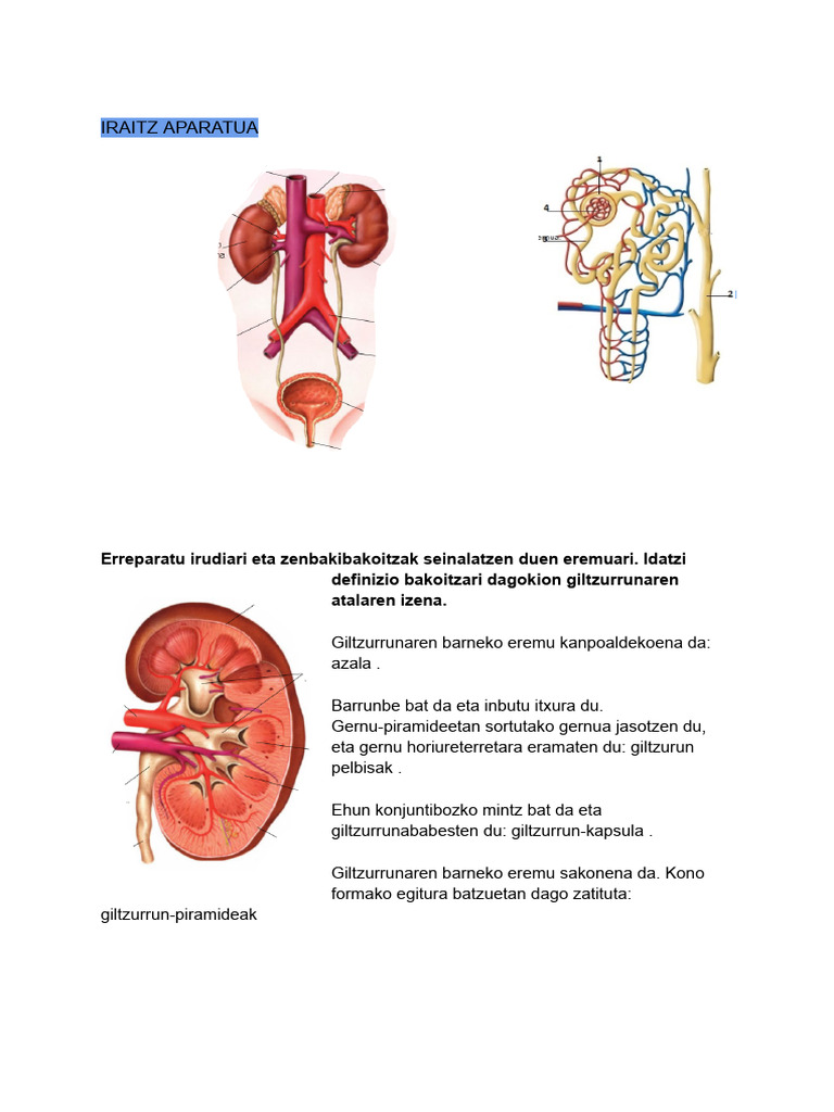 Unai Gómez Merino - Iraitz Ap. Arik. | PDF
