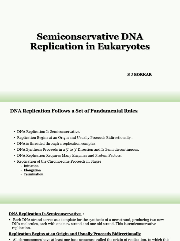 Semi Conservative DNA Replication | PDF | Dna Replication | Dna